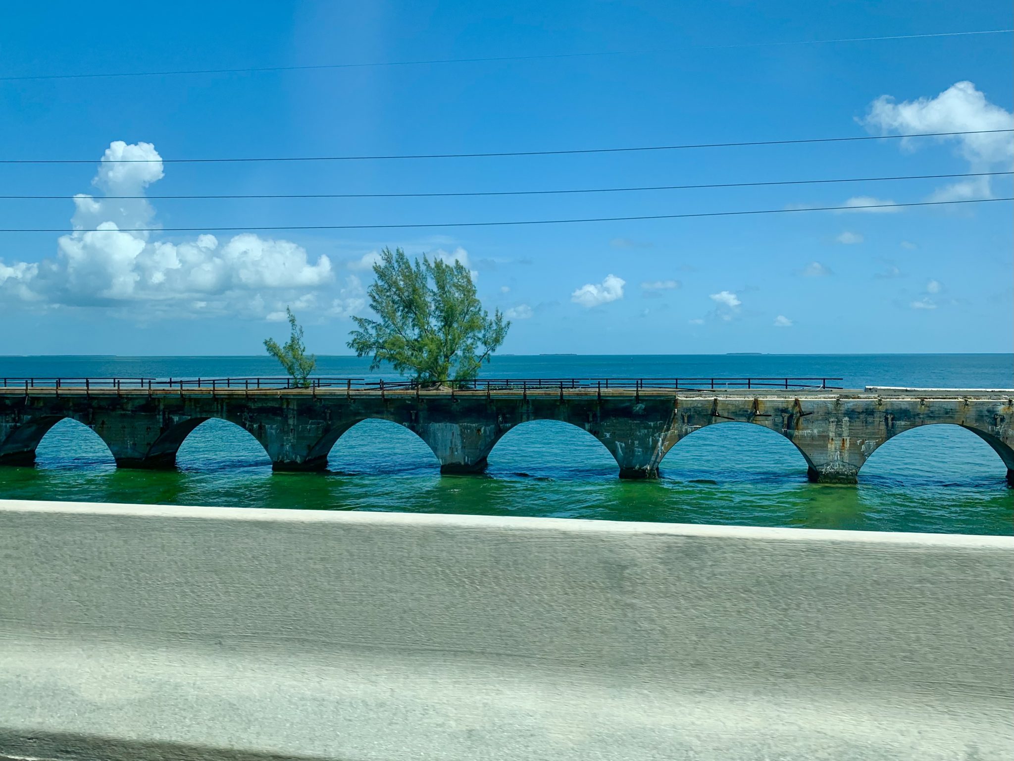 Fred the Tree: The Resilient Spirit of the Old 7 Mile Bridge - Florida ...